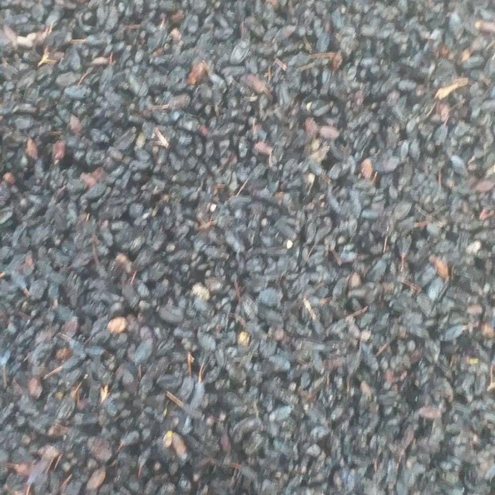 Karamuk Kurusu 500 gr - memleketkolisi.com